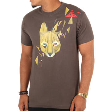 S-Crew - Tee Shirt Framal Gris Anthracite - LaBoutiqueOfficielle.com