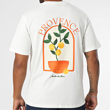 Classic Series - Tee Shirt Oversize Provence 40N Beige Clair ...