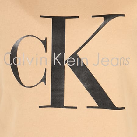 Calvin Klein - Sweat Crewneck Femme HWK True Icon Camel ...